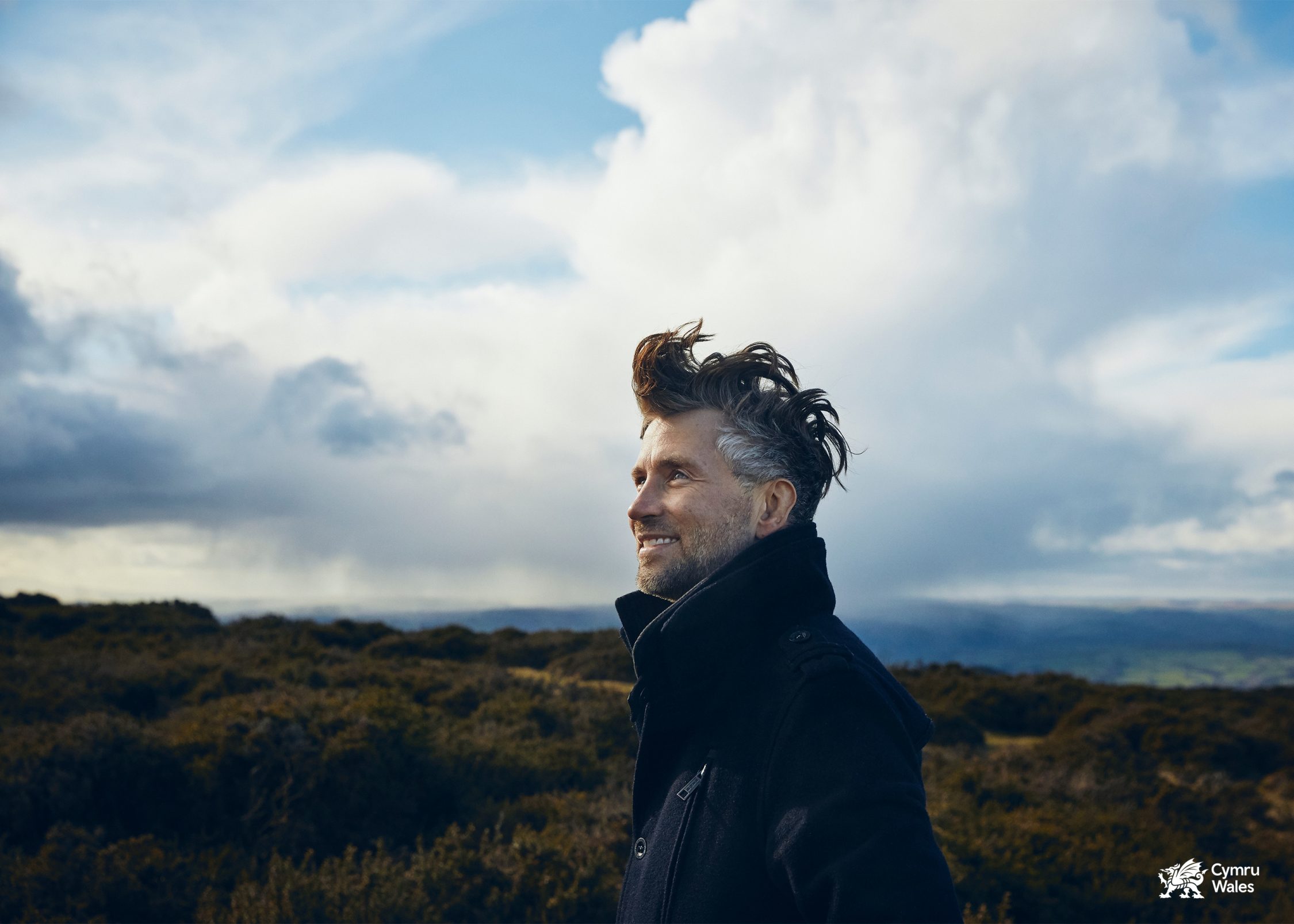 Commissions – David Ryle