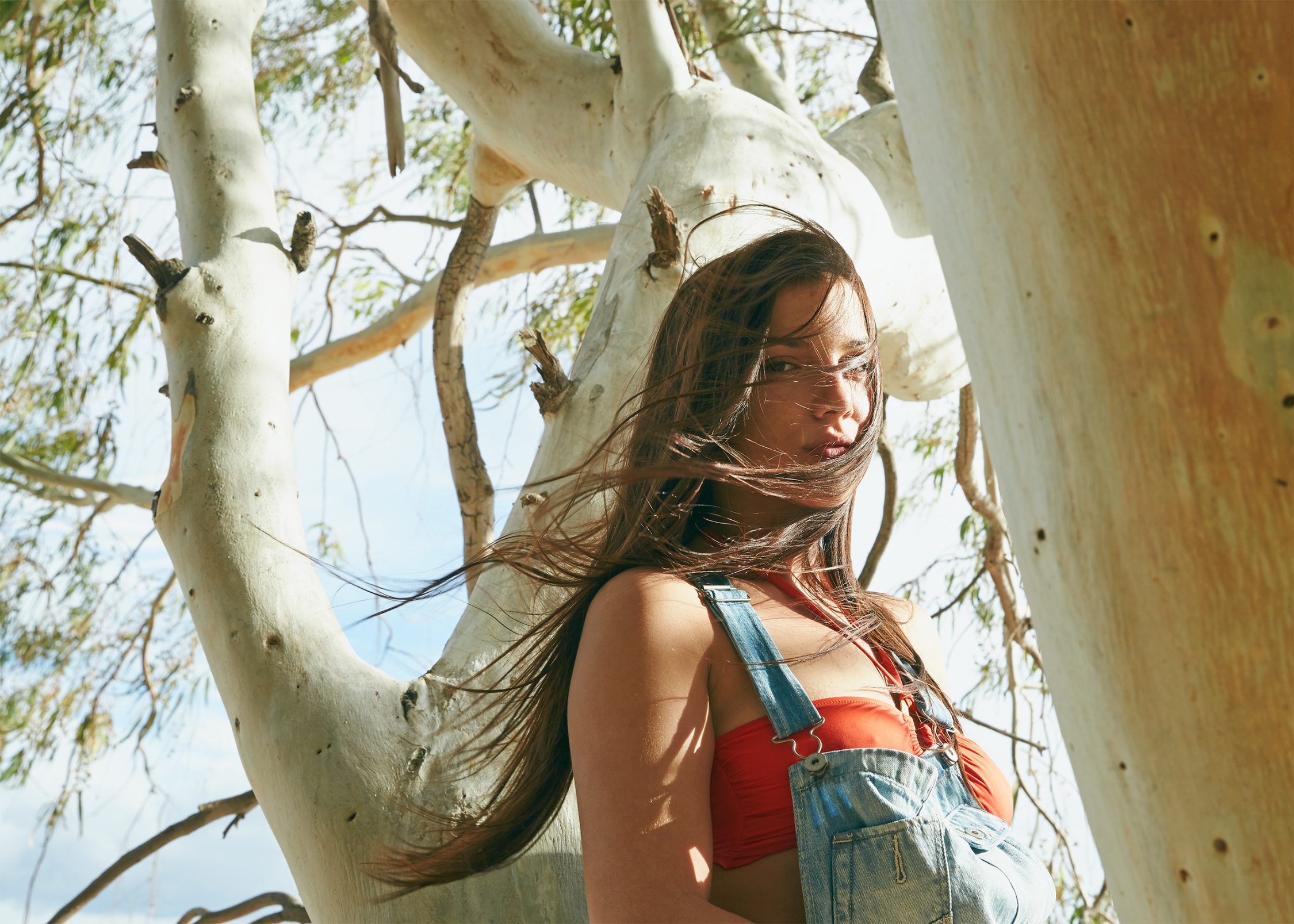 People – Categories