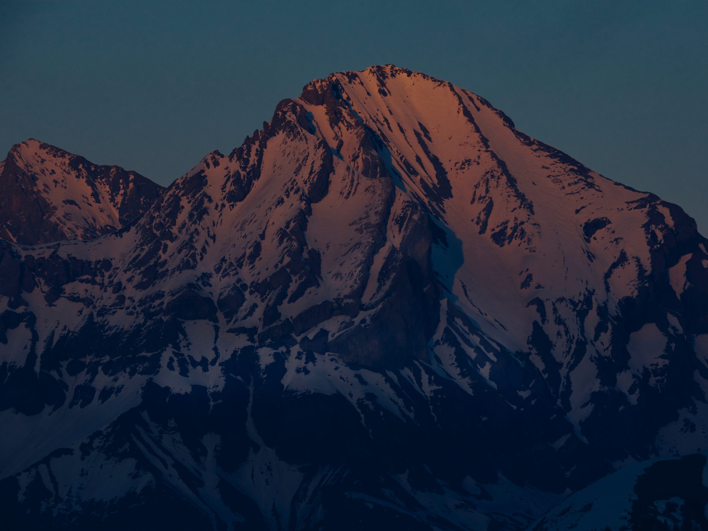 David Ryle - The Cambrian, Switzerland – News